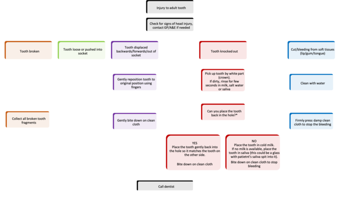 Dental Trauma Adult Teeth First Aid :: AtoothZ